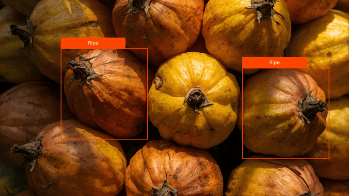 Tictag AI Solutions - Agricultural